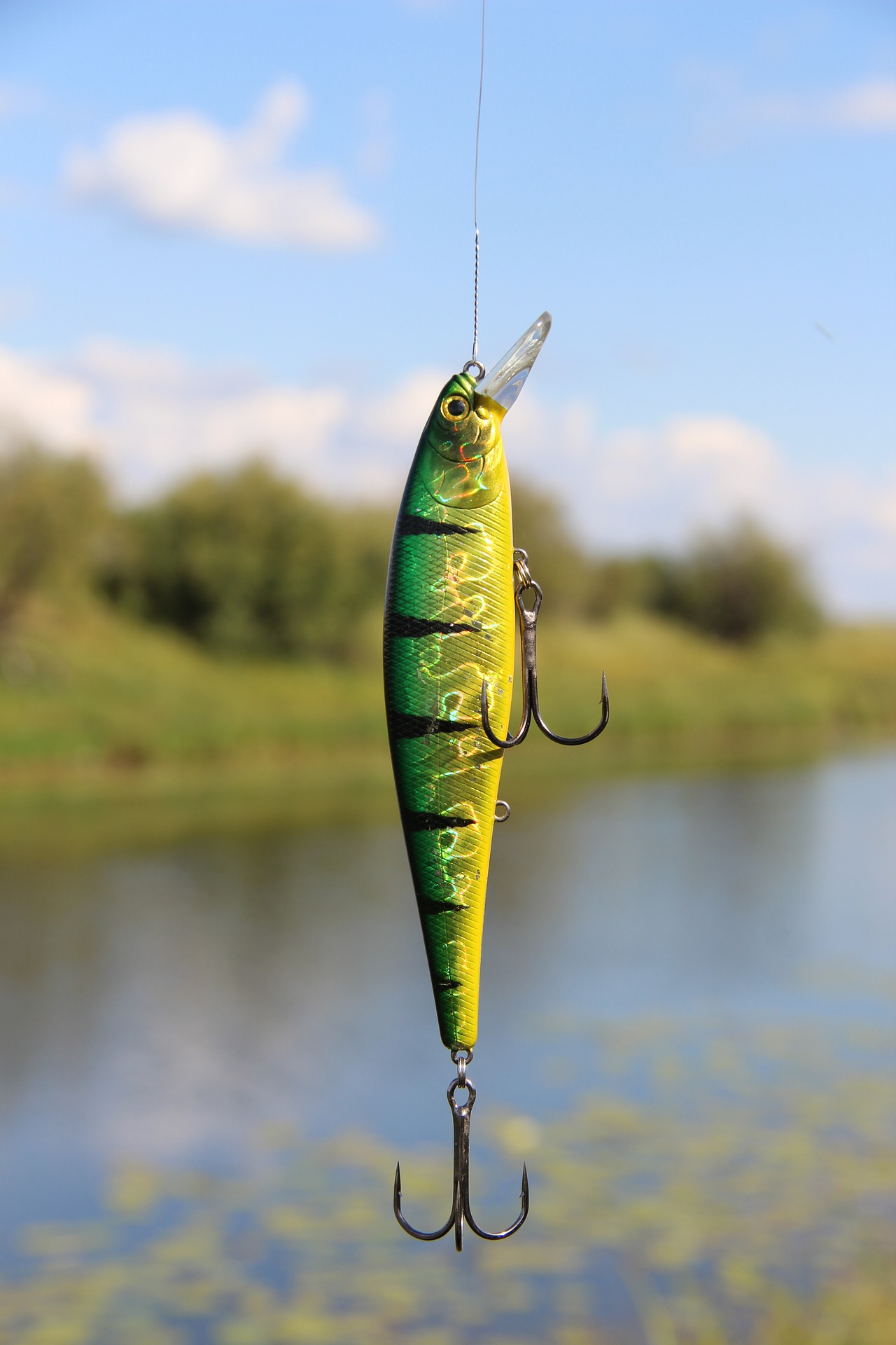 Quel type d'hamecon pour la pêche ? - Fishing Universe